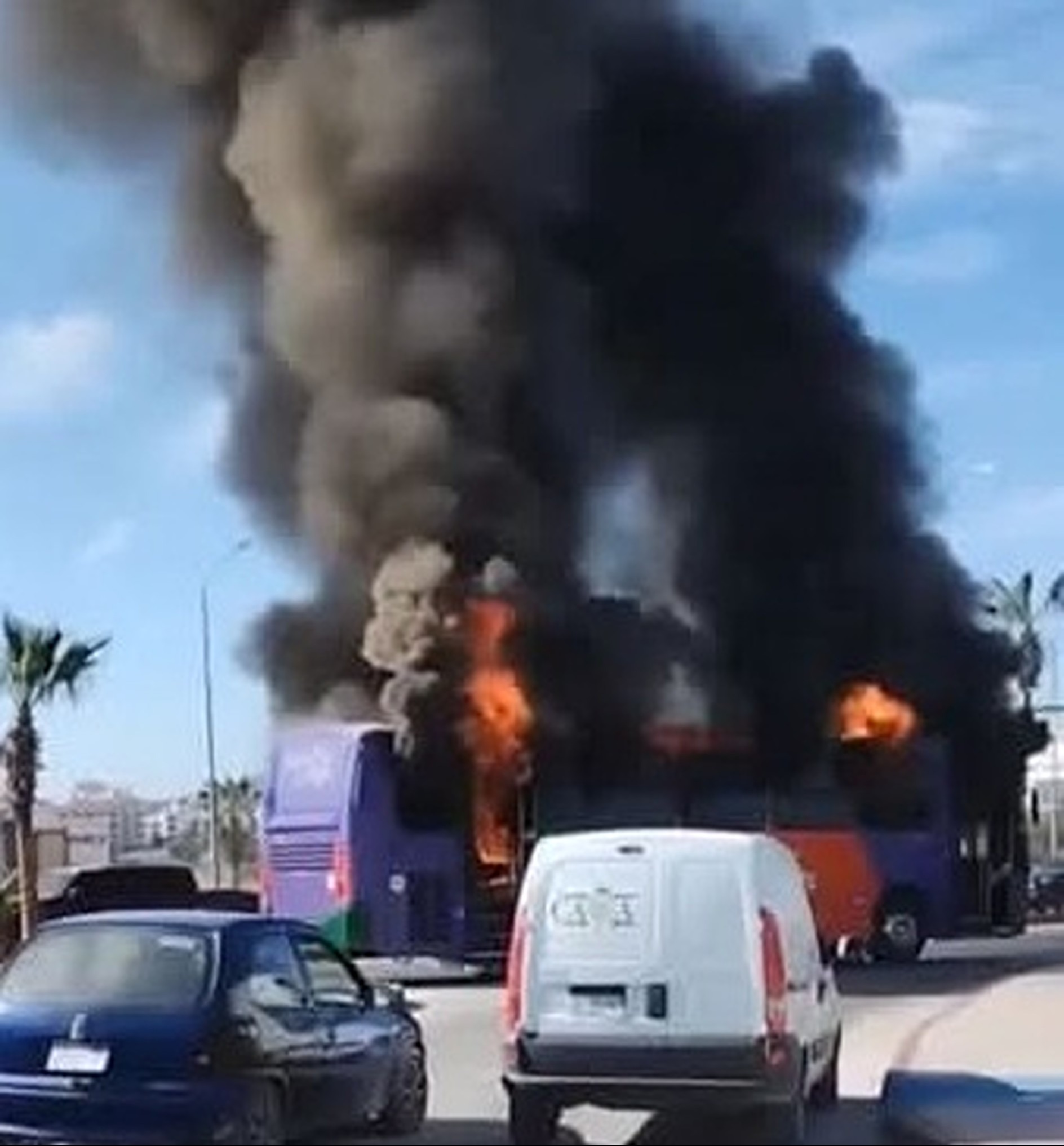 Urgent Warning: Cartel Violence @ Mexico Tourist Spot