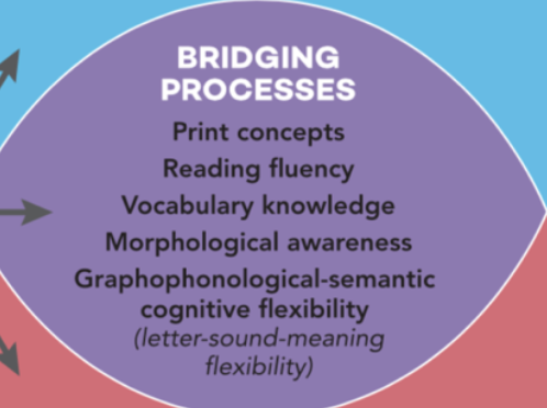 The Active View of Reading - Leah Mermelstein