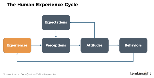 Want To Understand People? Meet The Human Experience Cycle