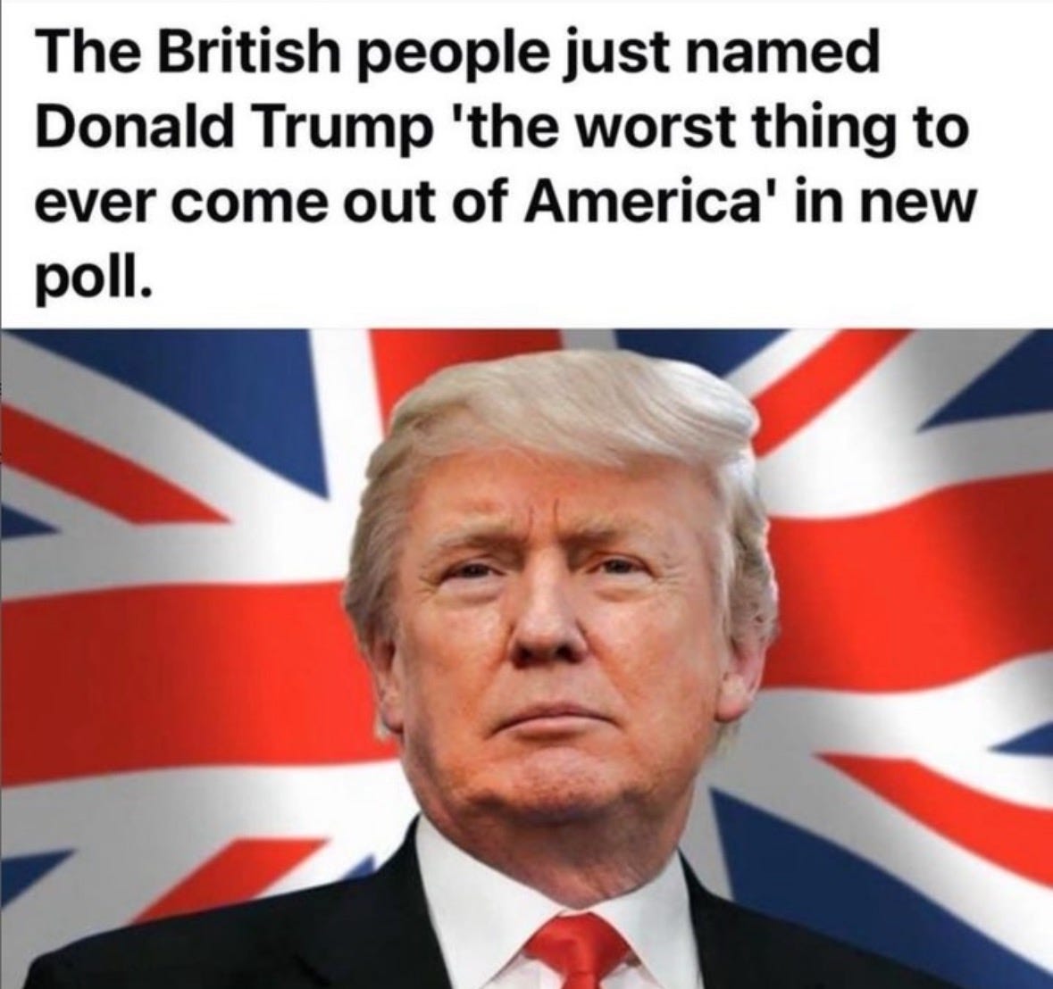 Kamala rocks! on Substack: " if you agree"