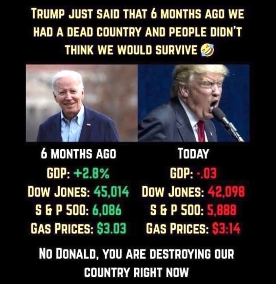 Ellen Mitchell (@ellenmitchell2):