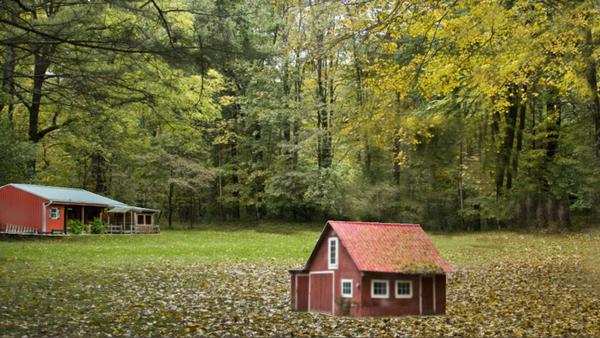 What Is Relative Size and Why Does It Matter?