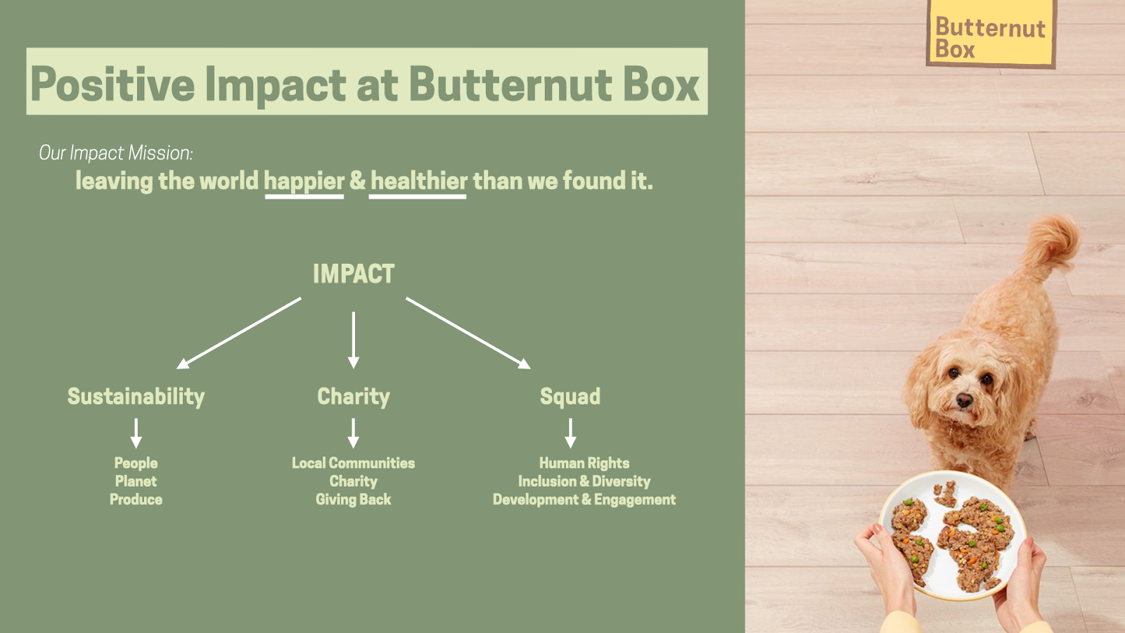 💥 #11 - Meet the Brands - Thinking inside the box: How Butternut Box ...