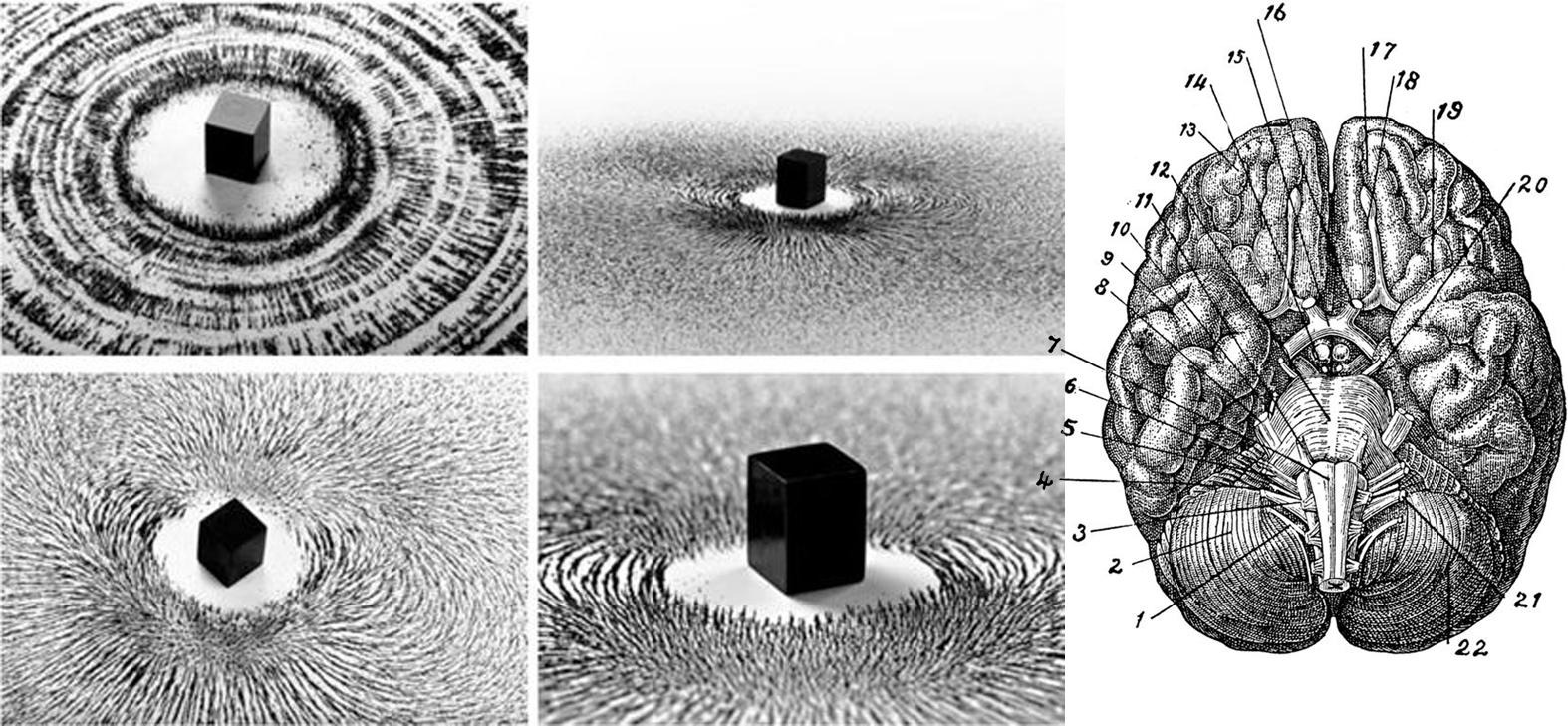 Foldspace and Hyperstition - by SEELE - Outer Heaven