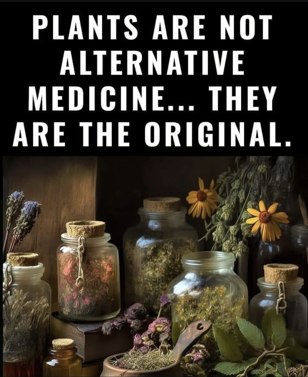 Mary Ann Rollano, RN on Substack: