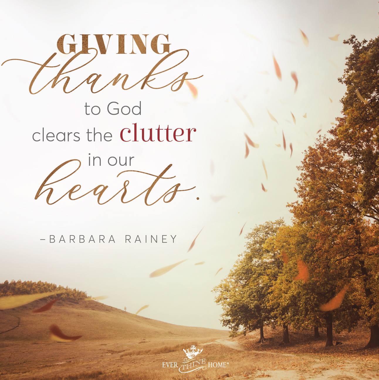 The Surprising Truth About Gratitude (And Why It Heals Your Heart)