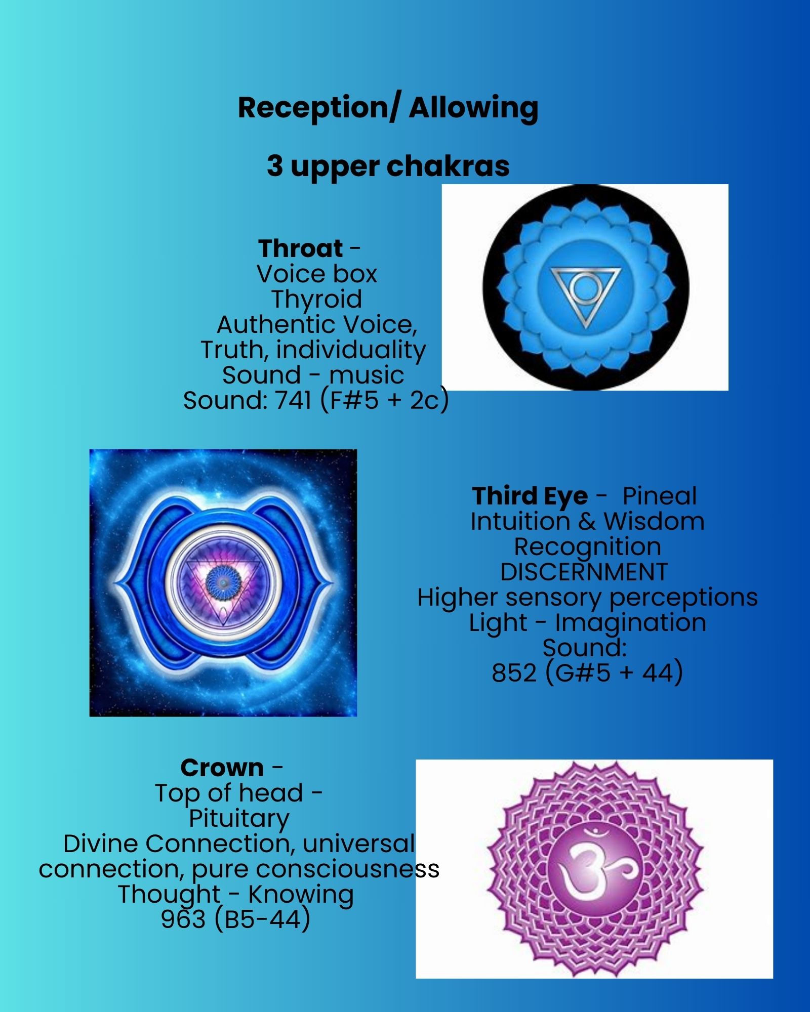 Chakras and Auras 101: the human energy field - by Dr Kay