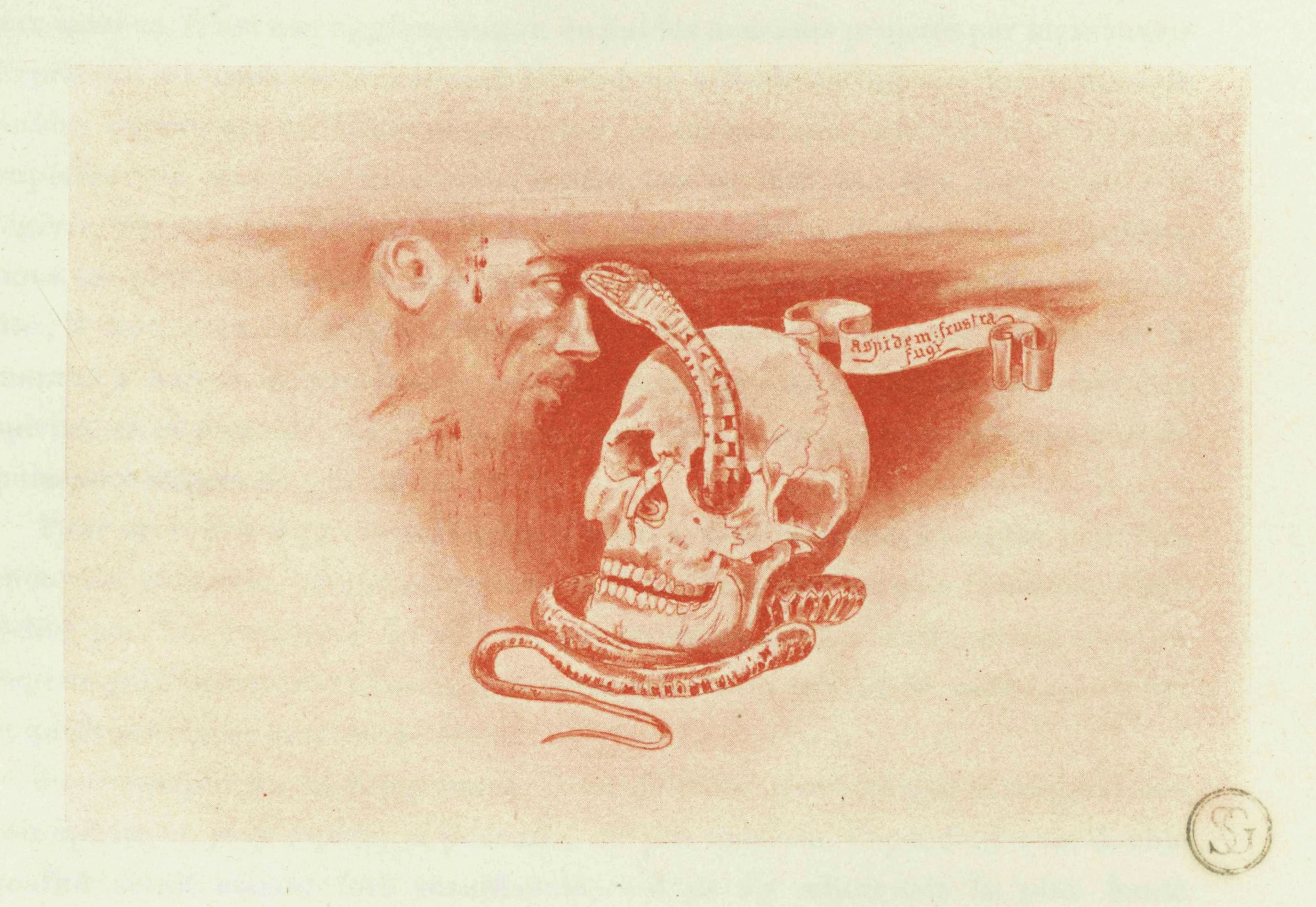 The Disturbing Rise of Splatterpunk - by Sam Ballantyne