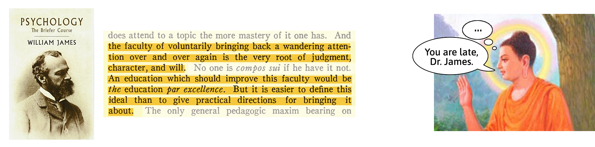 Mindfulness (6/6): Mindfulness of Emotions 2 and Conclusion - Wake Up ...