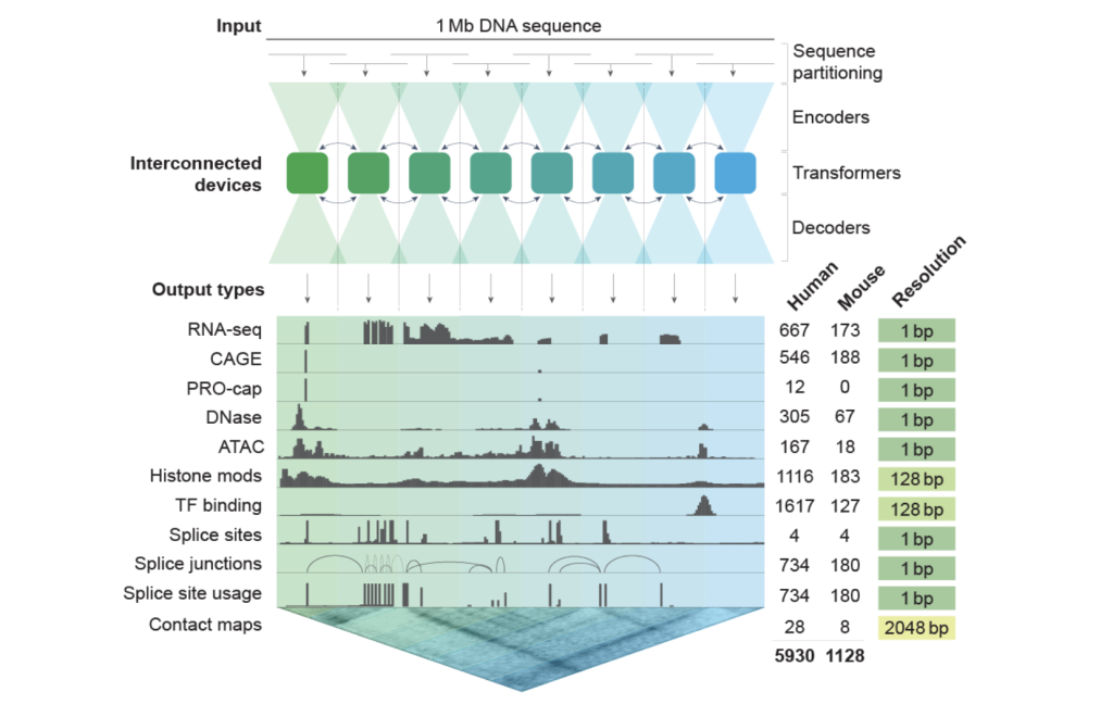 AlphaGenome: Google DeepMind’s Breakthrough Model for Predicting DNA ...