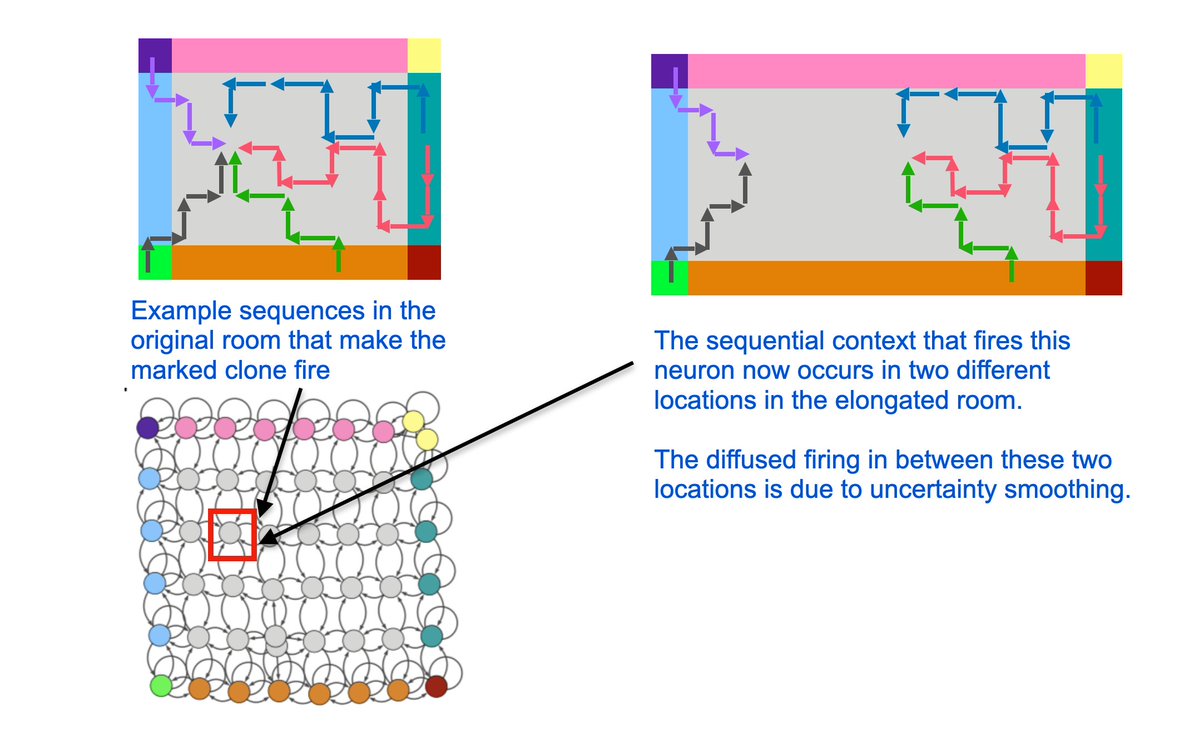 Space is a sensory-motor sequence in the hippocampus
