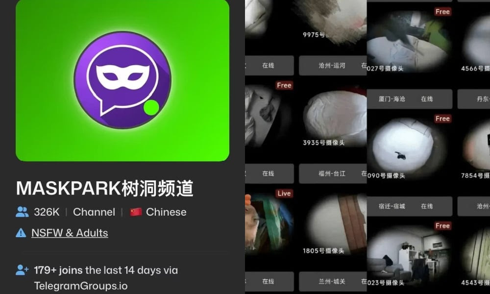 Nothing Sacred: Maskpark Gate and Karmic Justice