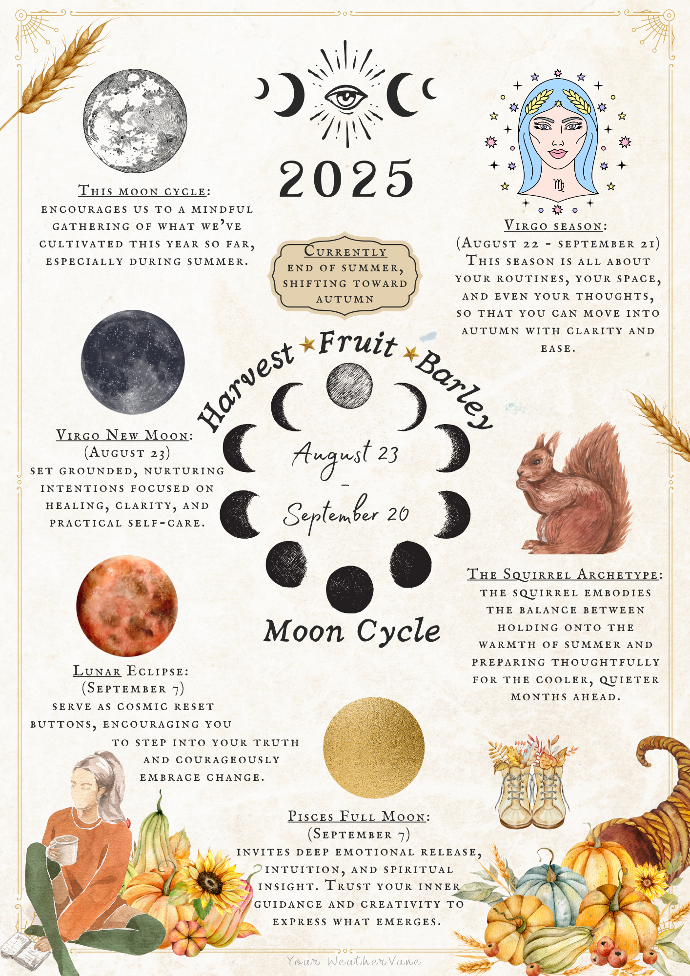 🐿️ The harvest moon cycle - by Vanessa Isabell