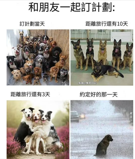 快速掌握高頻單字「Arrange」的用法 - Jai 精選筆記