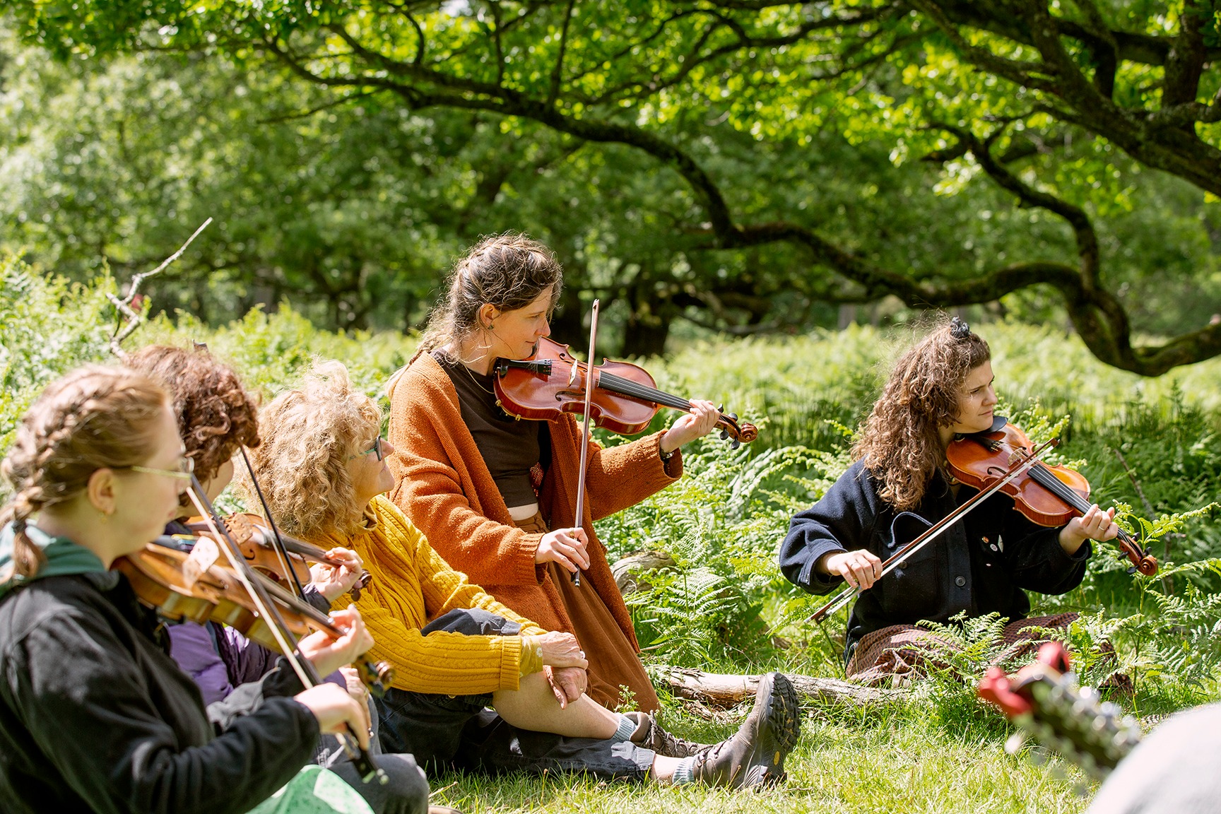 What is a Fiddle? - by Emma Hardy - Violin Making & More