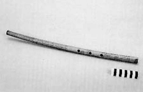 CORDILLERANS INSTRUMENTS - Roy Flores