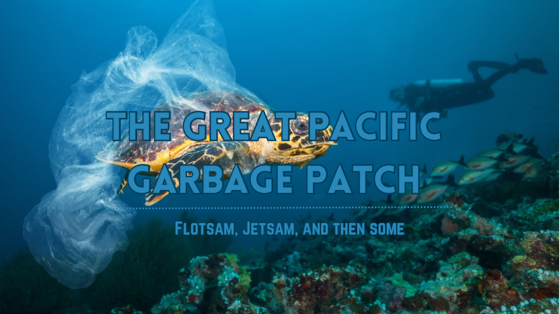 The Great Pacific Garbage Patch - by Caro Henry