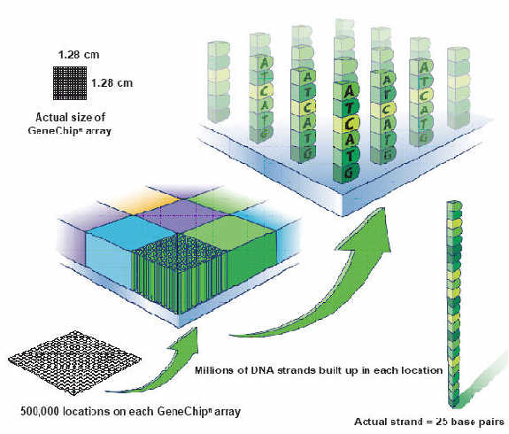 Manifold Bio: Barcoded Biologics - by Elliot Hershberg