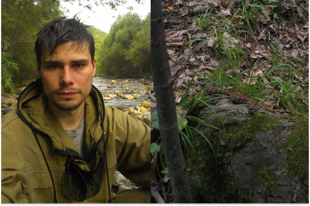 Earth AI - Not Boring by Packy McCormick