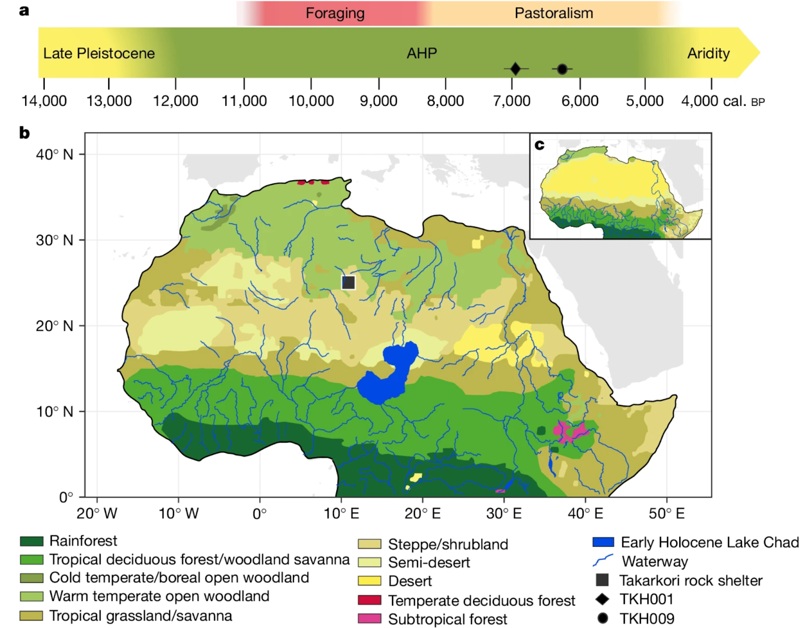 Lost Green Saharans: ancient DNA unearths a new race from a verdant ...