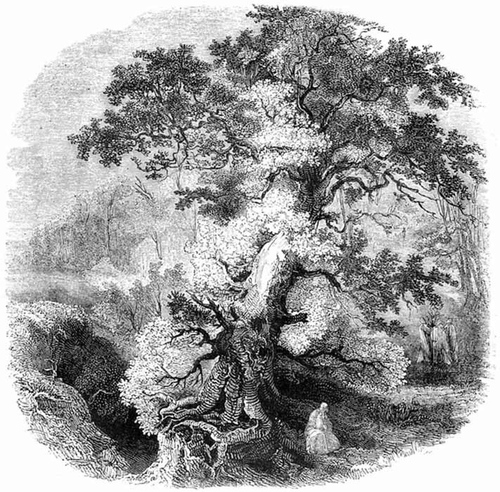 Descendants Of The Fallen Angels From Canaan