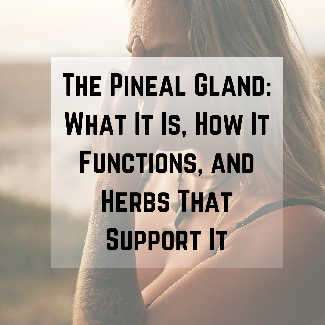 The Pineal Gland: What It Is, How It Functions, and Herbs That Support It
