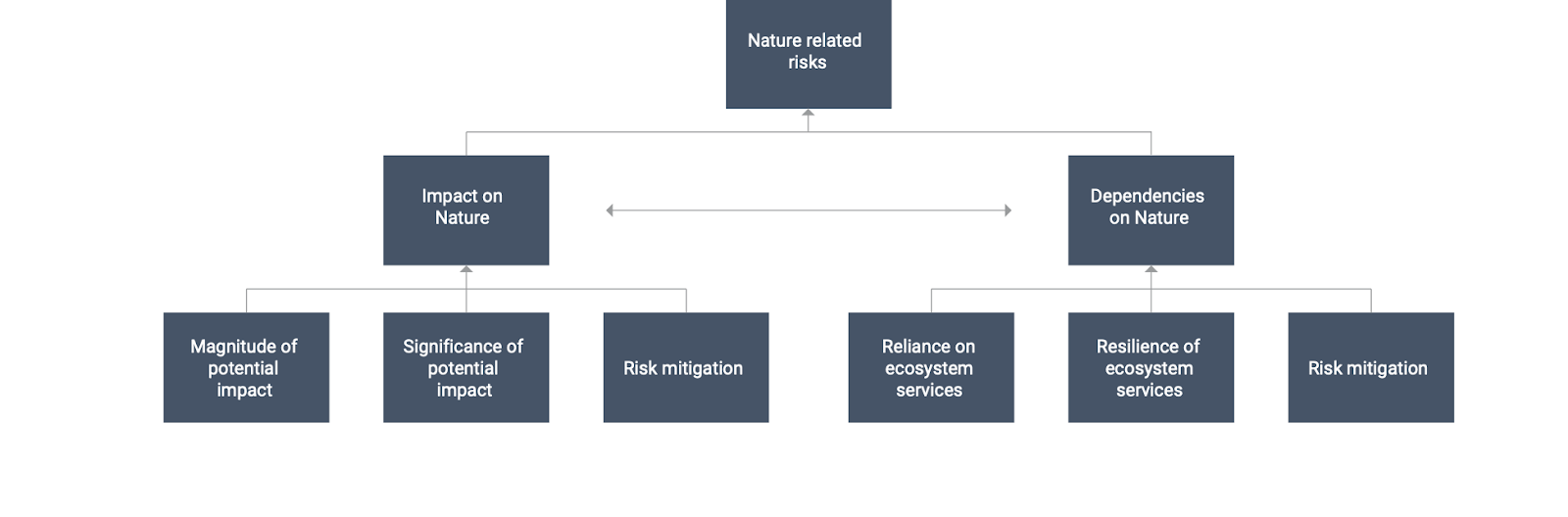 What are nature risks? - Ecomonitor Dispatch