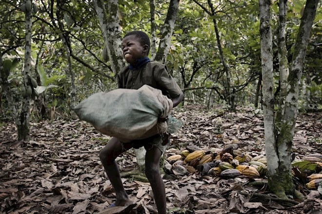 The Ethics of Chocolate: The Dark Truth Behind the Sweet Treat