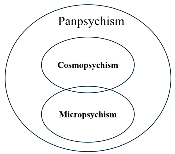 What is Panpsychism? - by Marco Masi