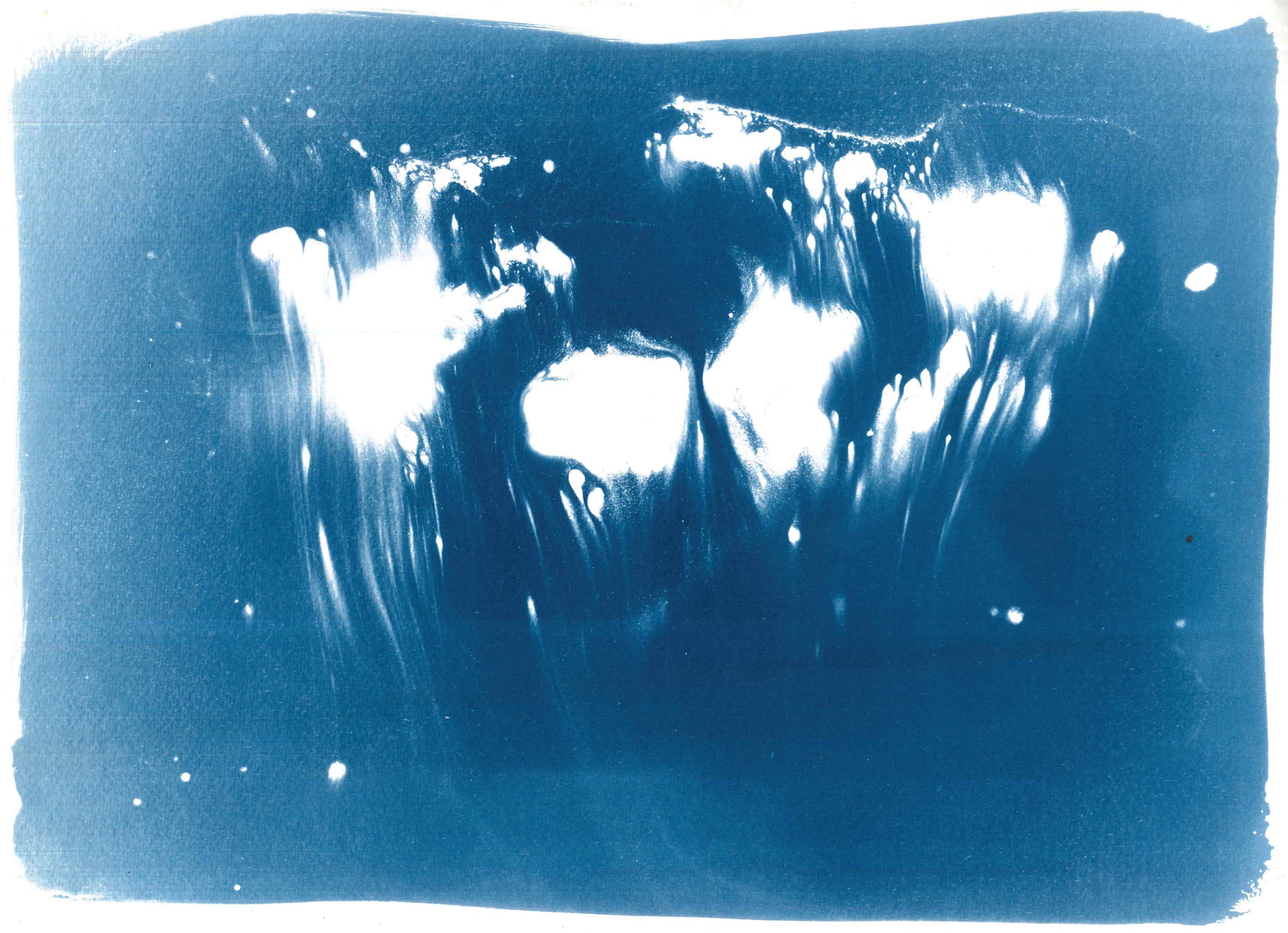 Exploring Cyanotypes: A Beginner’s Guide to This Unique Cameraless ...