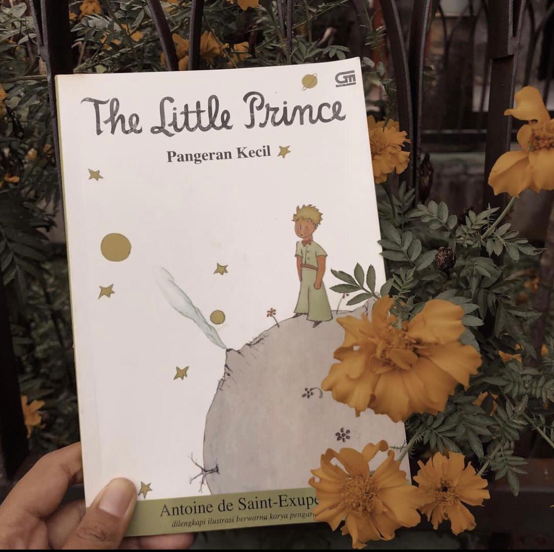 Makna Hidup: Novel The Little Prince karya Antoine de Saint-Exupéry