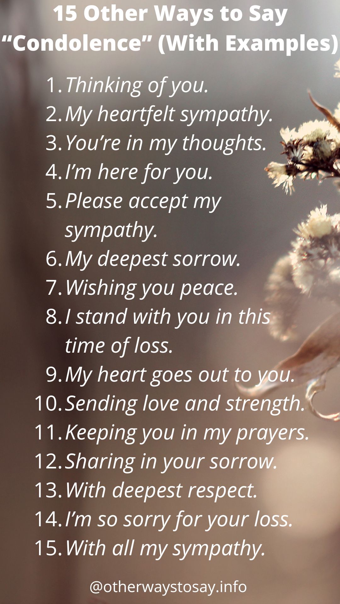 15 Other Ways to Say “Condolence” (With Examples)