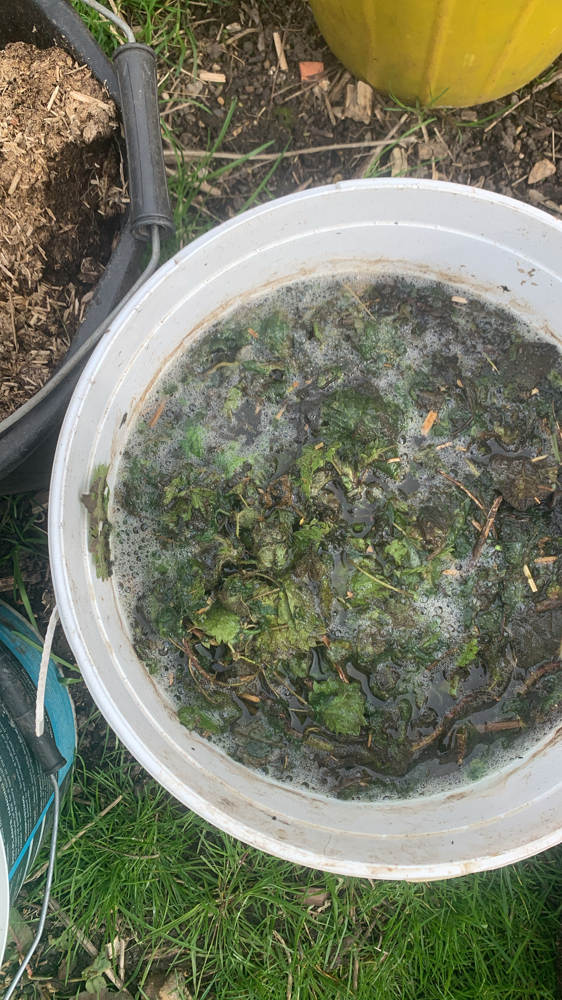 #7 Make you own liquid feeds and apply once a month.