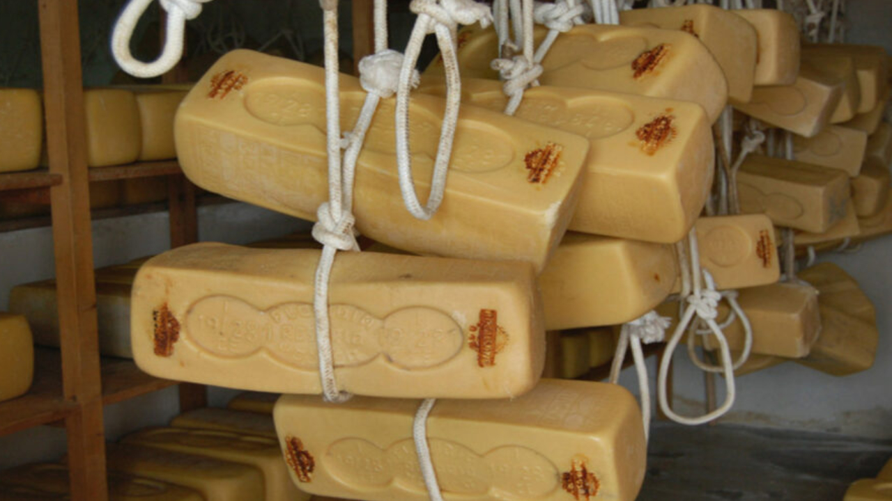 The 4 Sicilian cheeses you need to know about