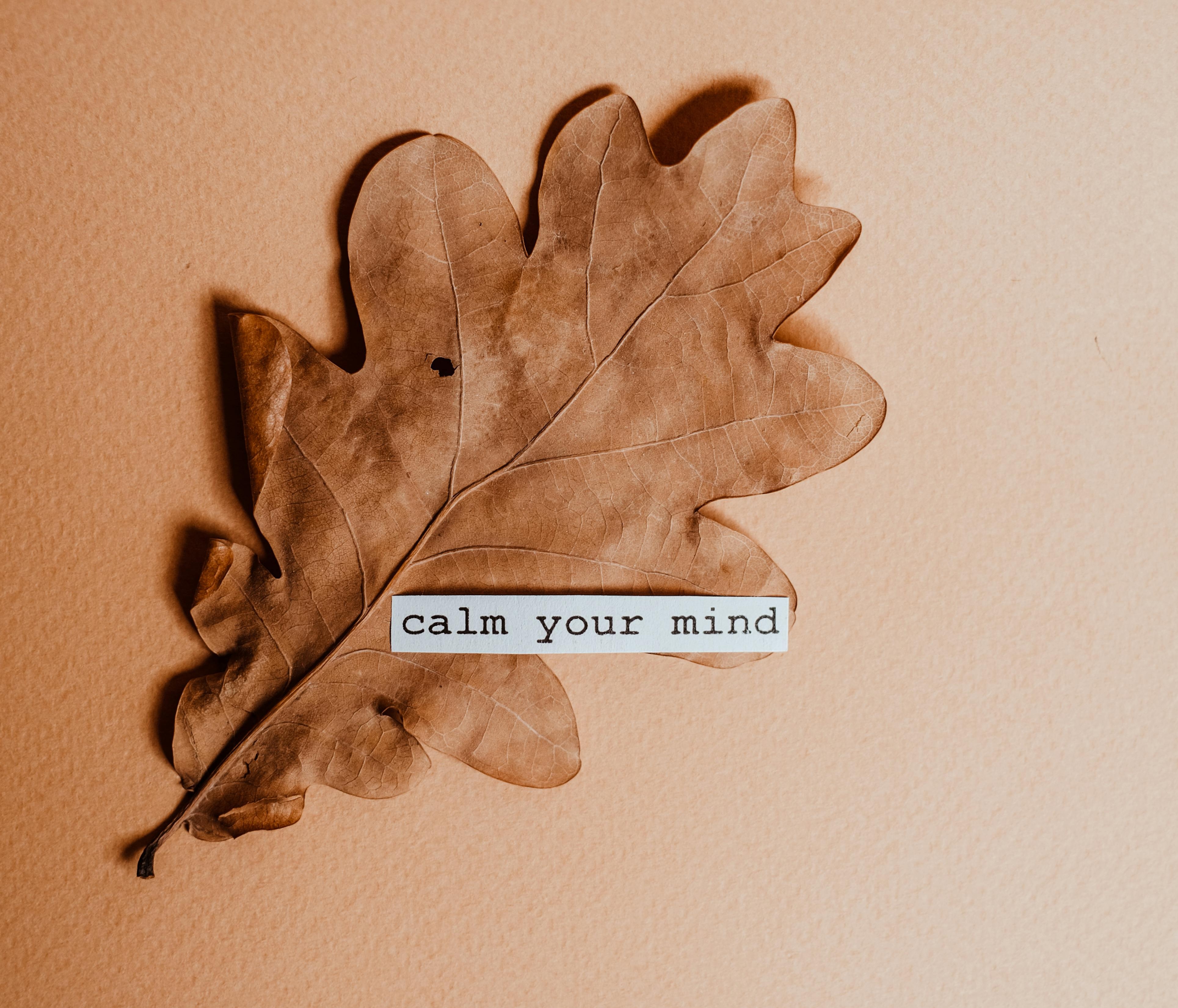 O Paradoxo da Escolha: Menos é Mais - Isa Melo