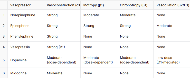 Master ICU Vasopressor Management: 8 Shock Resuscitation Tips - Maher ...