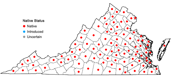 25 Native Fruit of Virginia - Feeding Appalachia