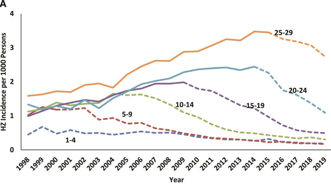 #13: The success of chickenpox vaccines - by Saloni Dattani