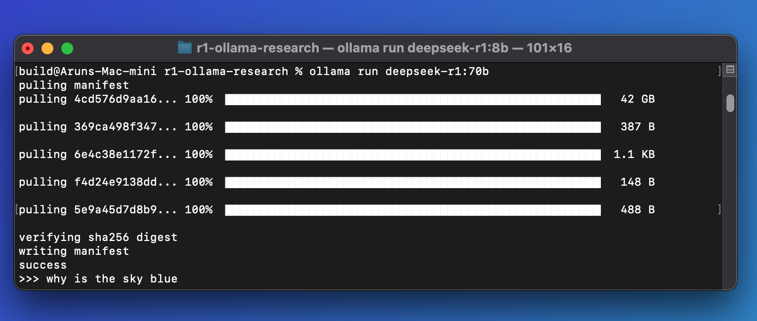 Running DeepSeek locally for free and without restrictions