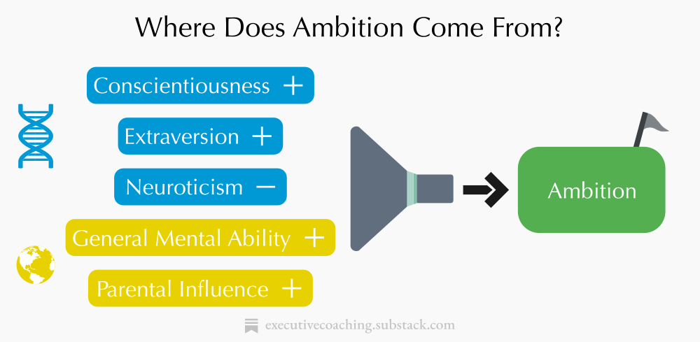 What is Ambition? - by Jon D'Alessandro