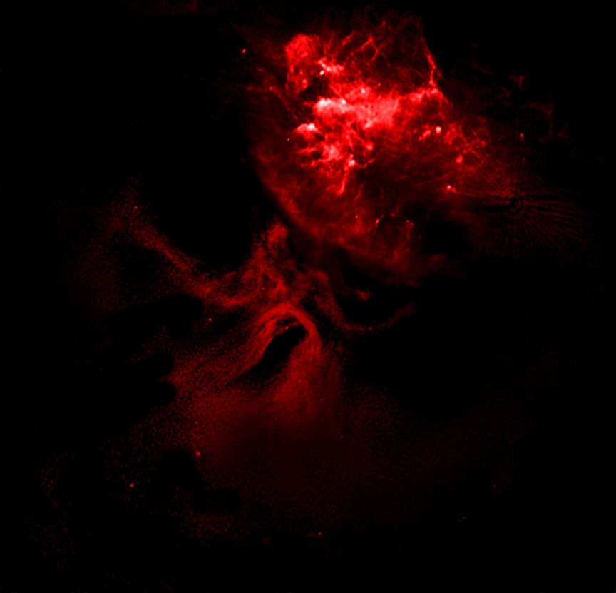 How a dead star carved the “Hand of God” in space