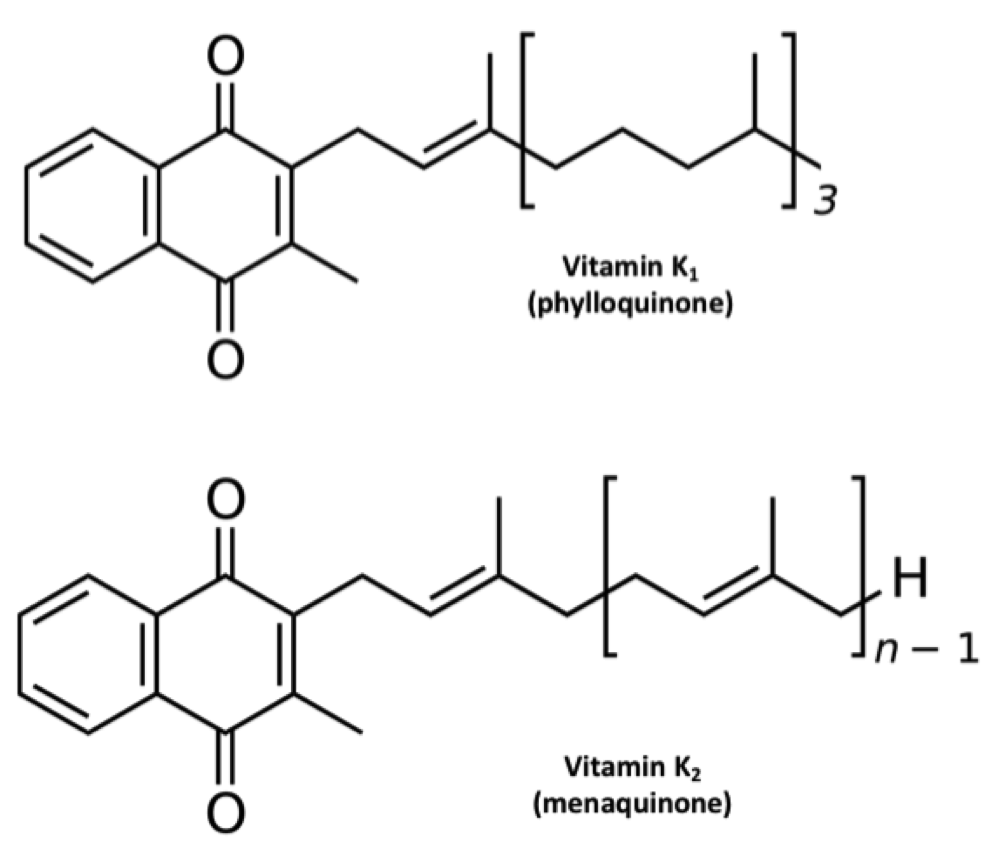 The Many Forms of Vitamin K - by Chris Masterjohn, PhD