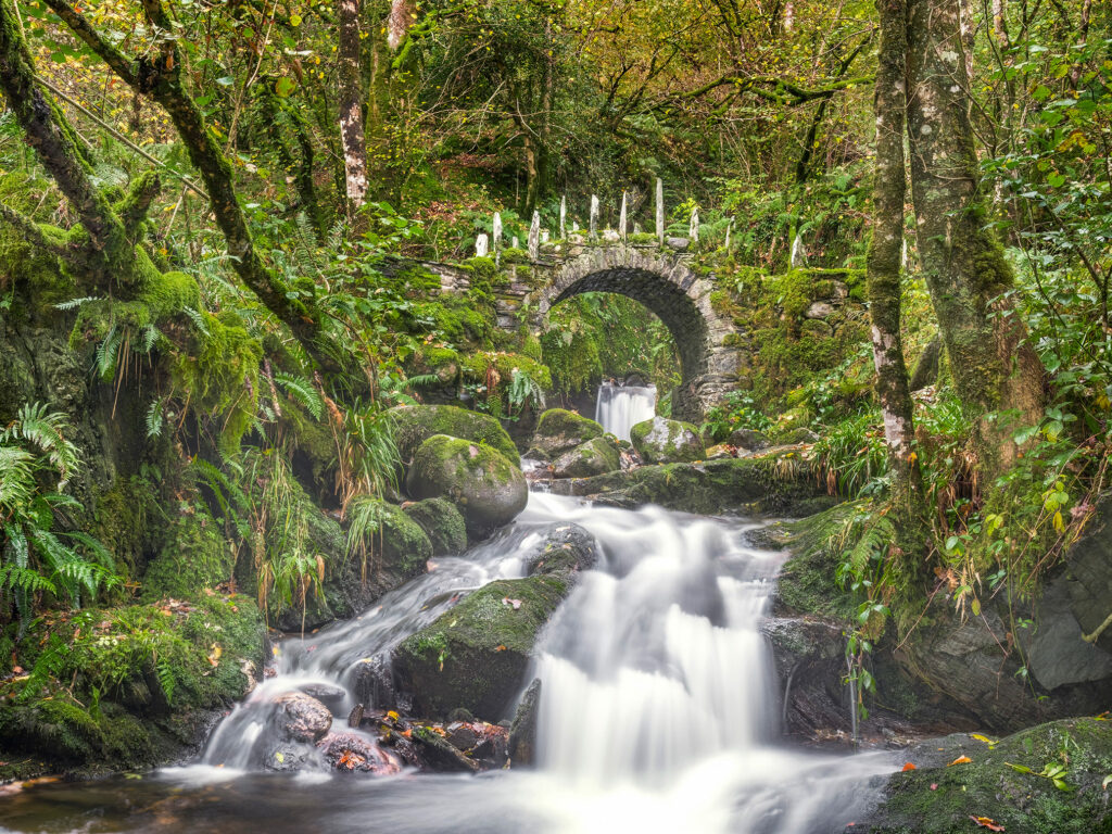 The Melancholy Art of Abandoned Places