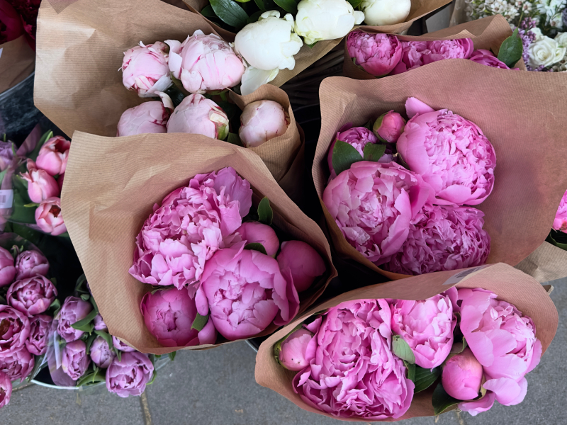 London Recommendations /001 - by Roséline - Hyperreality