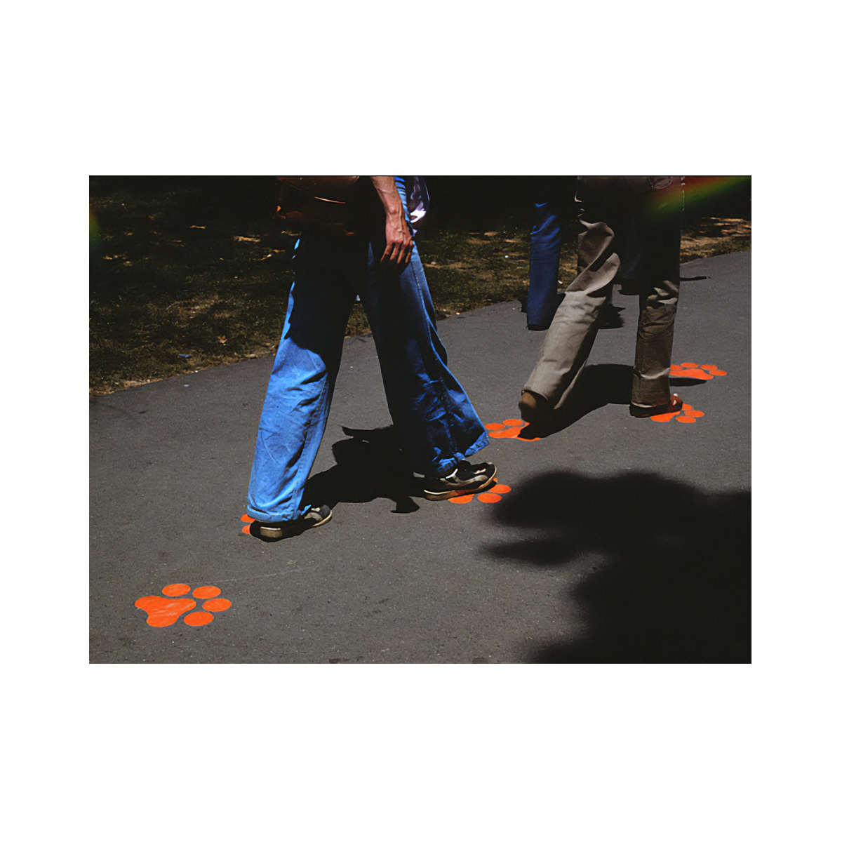 The story of Lance Wyman's logo for National Zoo – Logo Histories