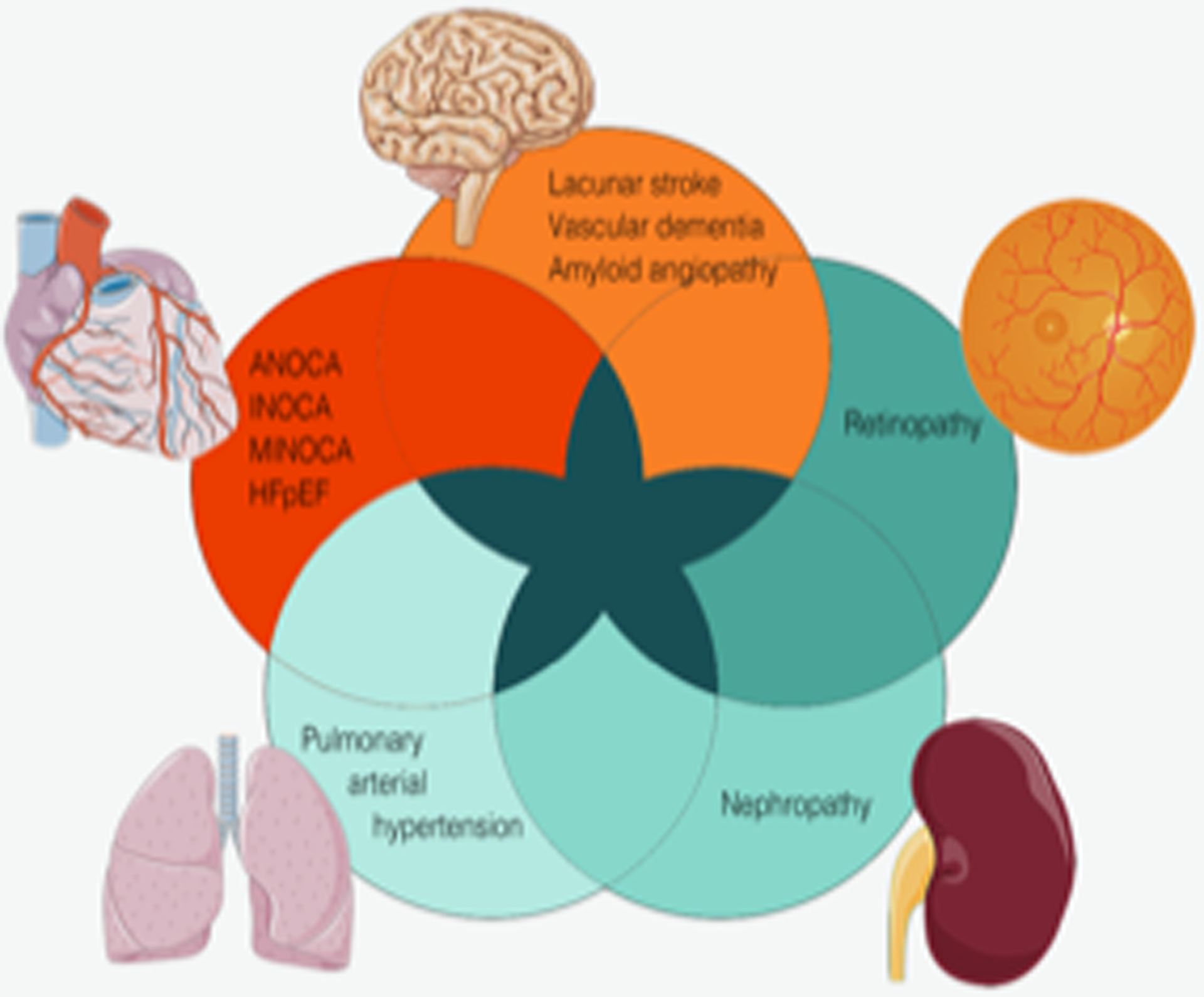Systemic Microvascular Disease: Stage II of SPED (Spike Protein ...
