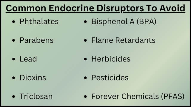 The Endocrine System: Your Body’s Hormonal Command Center