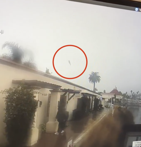 MeidasTouch Network on Substack: "BREAKING... FIGHTER JET CRASHES INTO SAN DIEGO HARBOR... BOTH ...