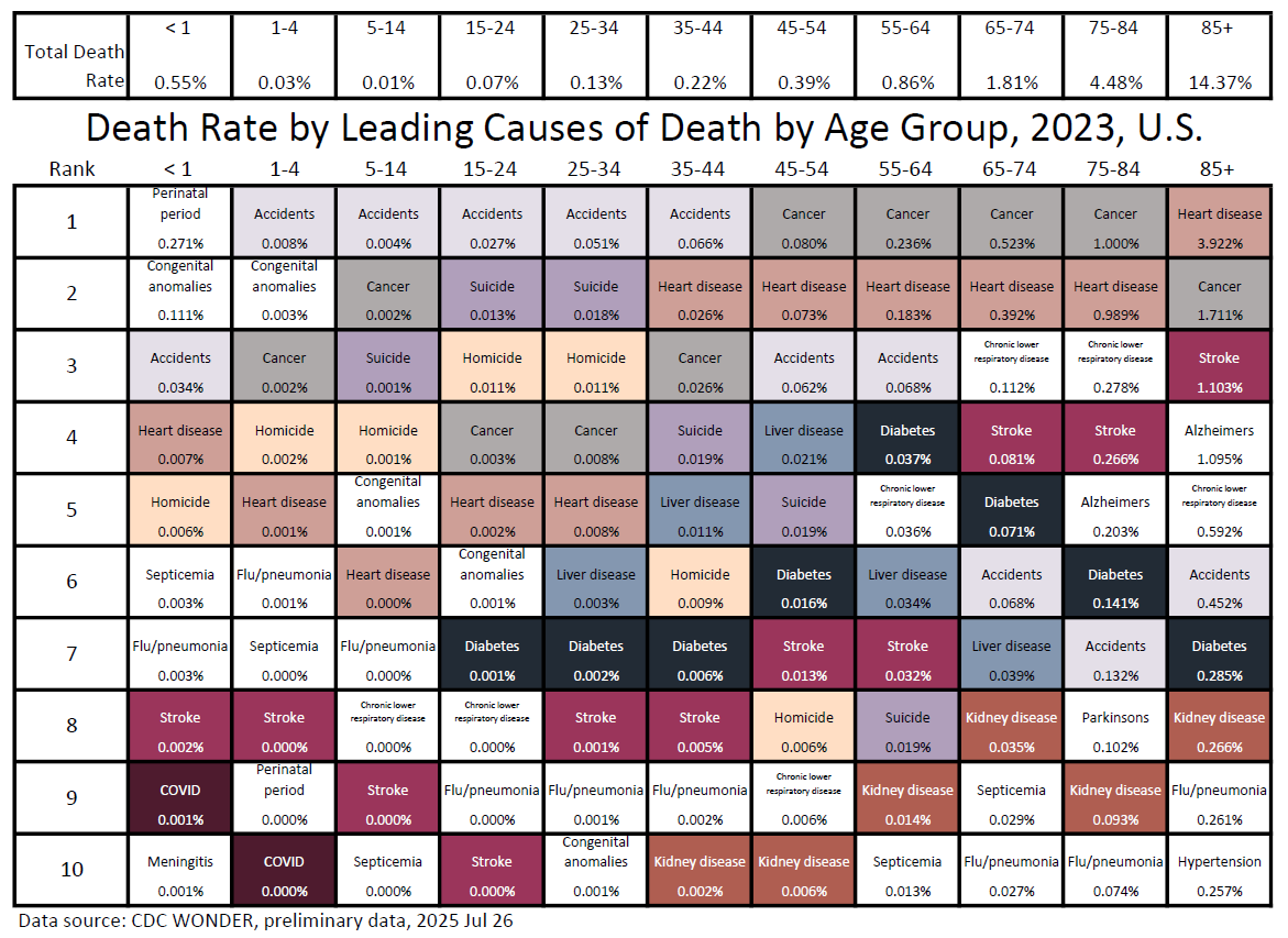 2024 U.S. Top Causes of Death by Age Group, Preliminary