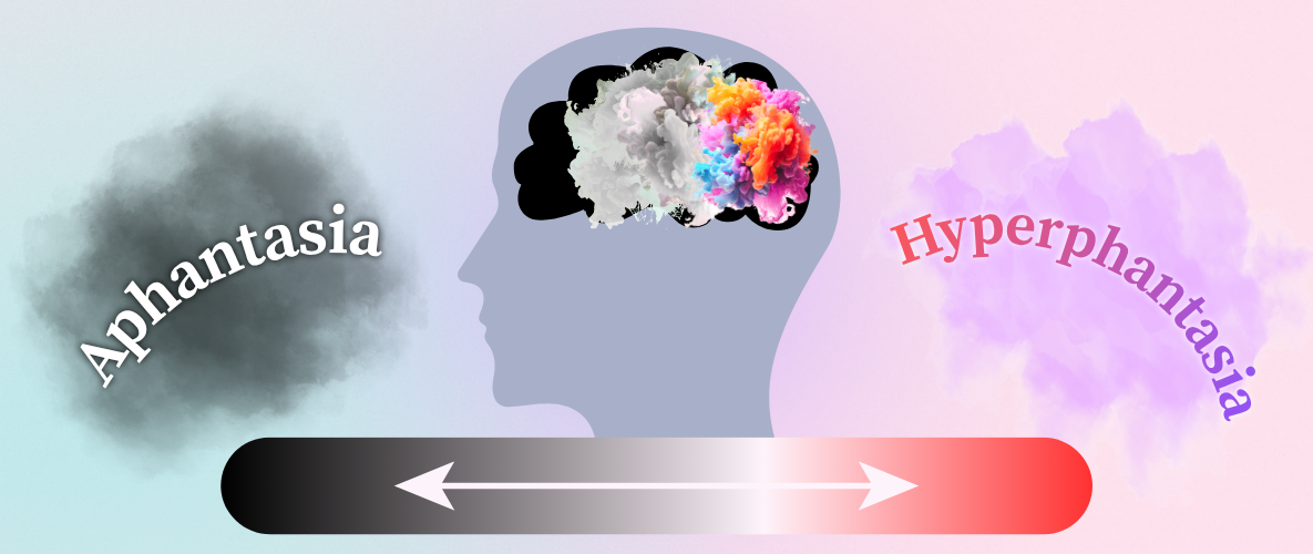 Aphantasia and the Imagination Spectrum - NeuroKnow